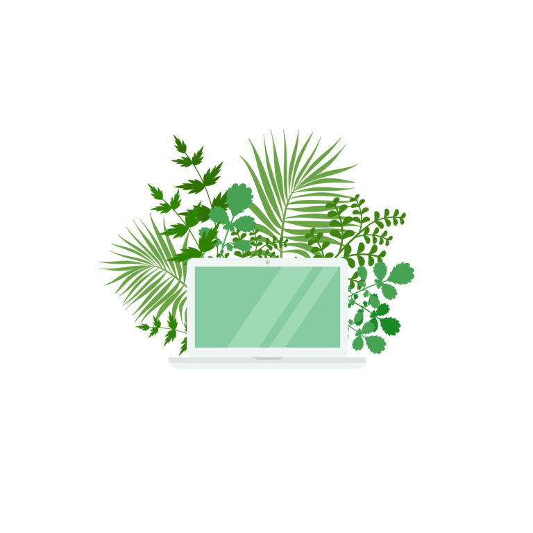 Make your site greener with GreenIT-Analysis – Davidson